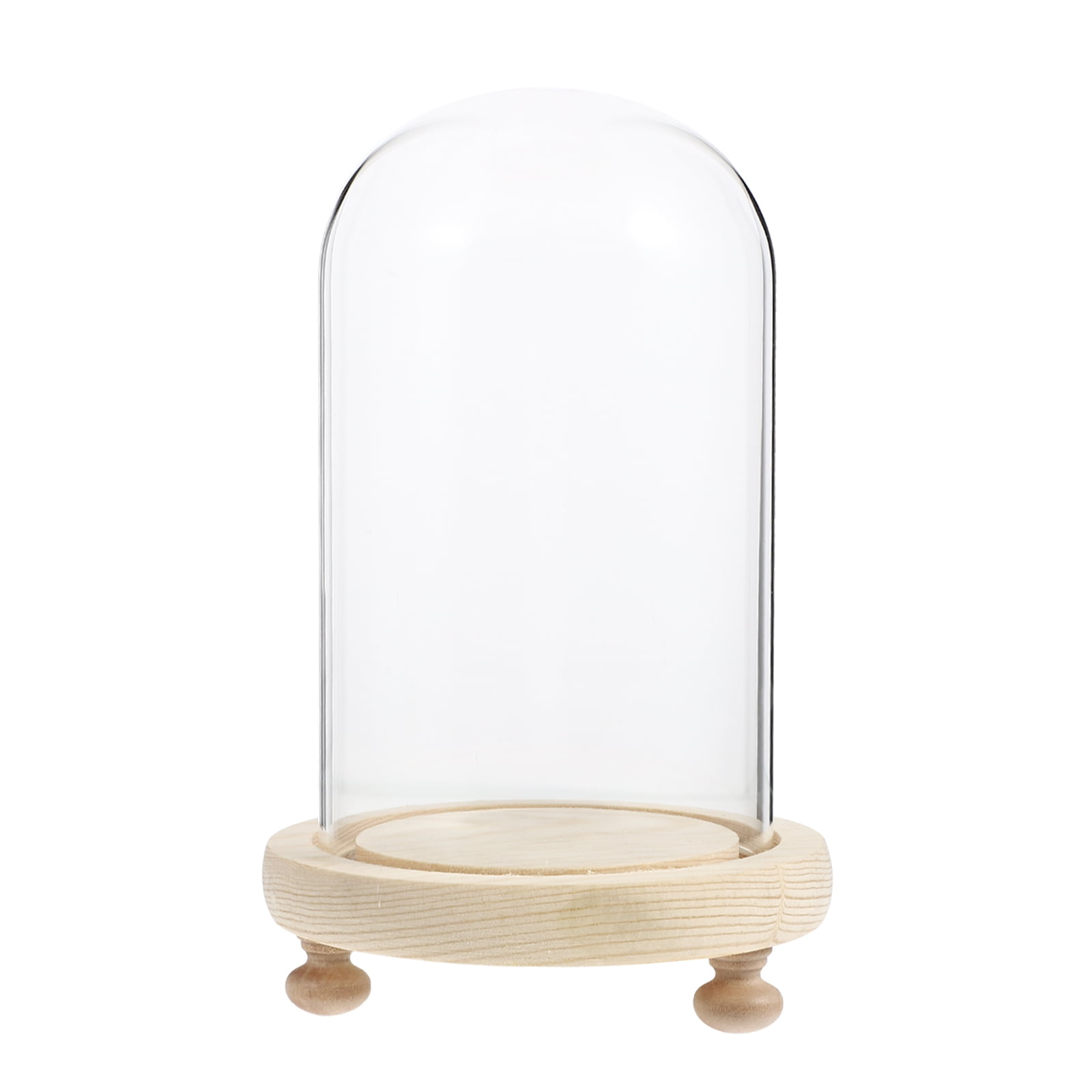Phlegsive Glass Dome Cloche Display Case with LED Lights and Wood Base ...
