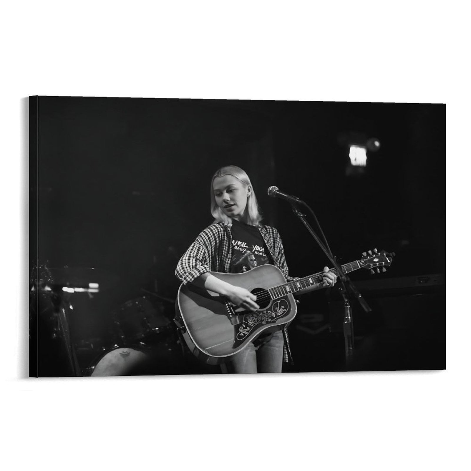 Phoebe Bridgers Popular Singer Cover Stills Poster Posters Art Print ...