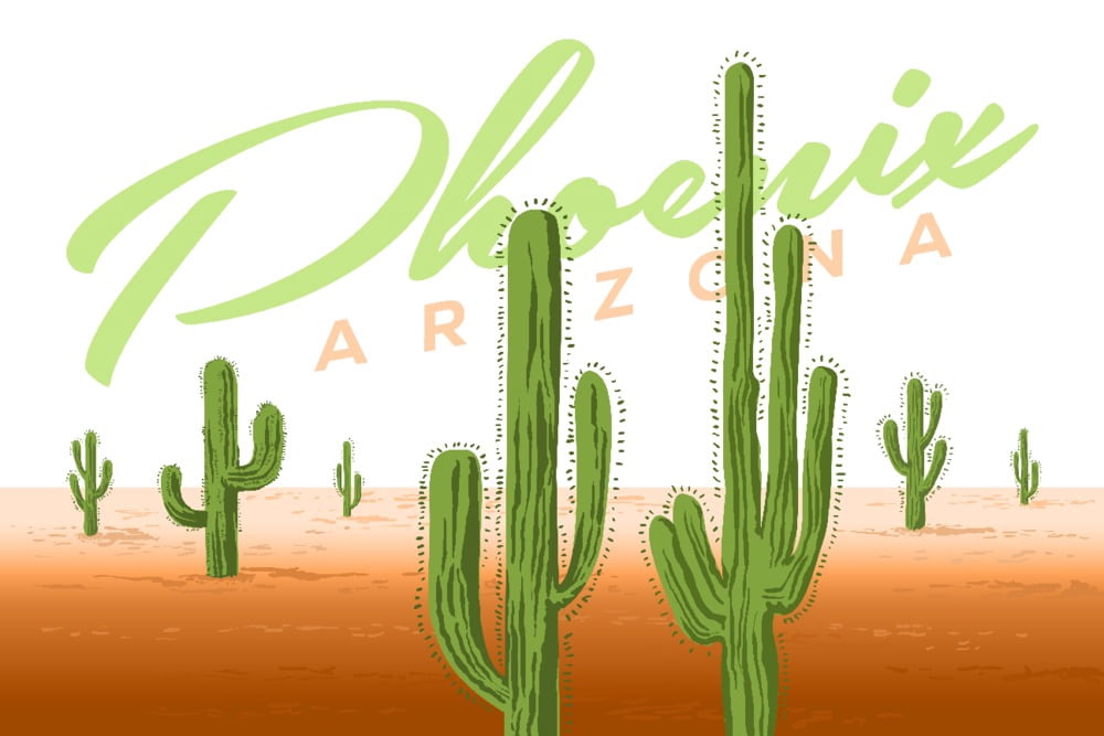 Phoenix, Arizona, Cactus, Vector (16x24 Giclee Gallery Art Print, Vivid ...