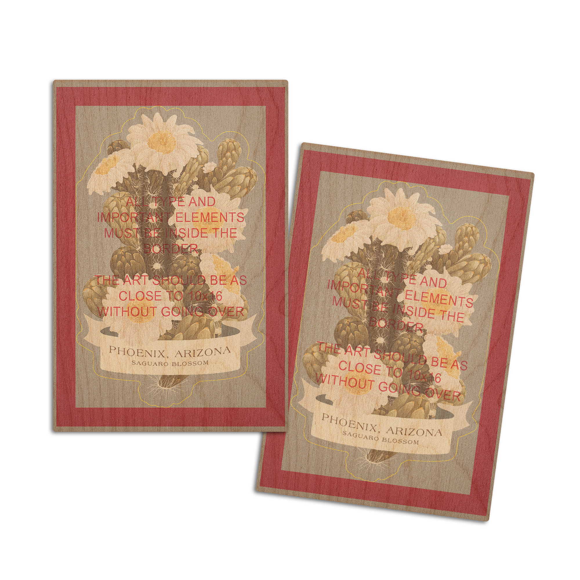 Phoenix, Arizona, Vintage Flora, State Series, Saguaro Blossom, Contour ...