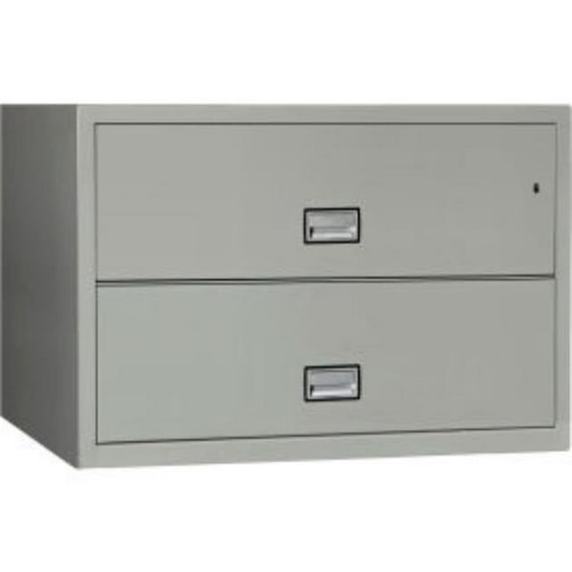 Phoenix Safe International 2 Drawer Lateral File Cabinet Letter & Legal ...
