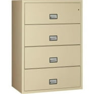 Phoenix Safe International 2 Drawer Lateral File Cabinet Letter & Legal ...