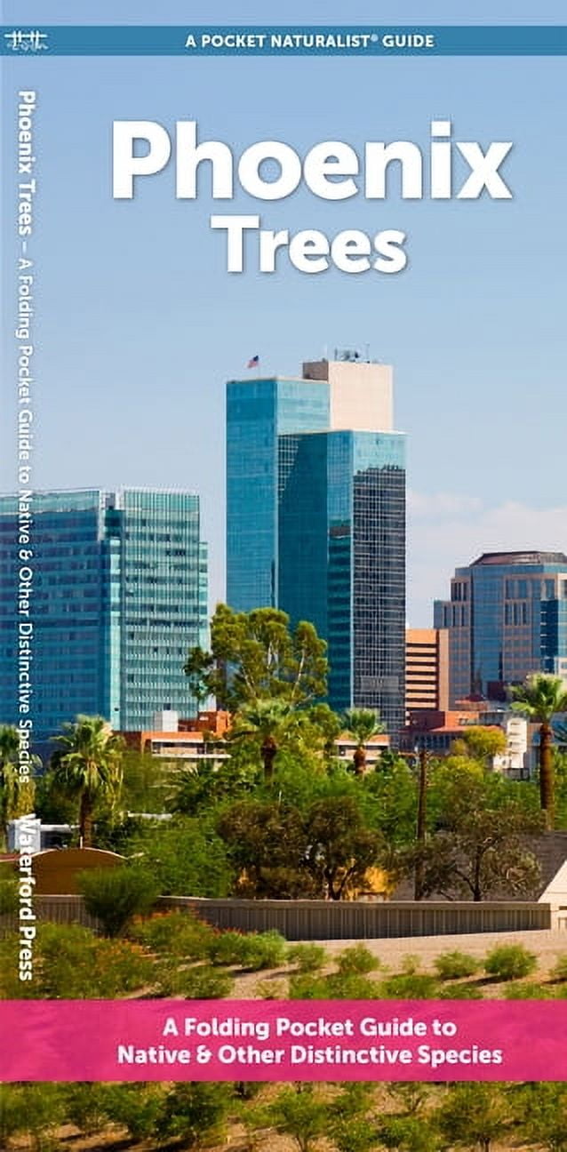Phoenix Trees : A Folding Pocket Guide to Familiar Trees (Paperback ...