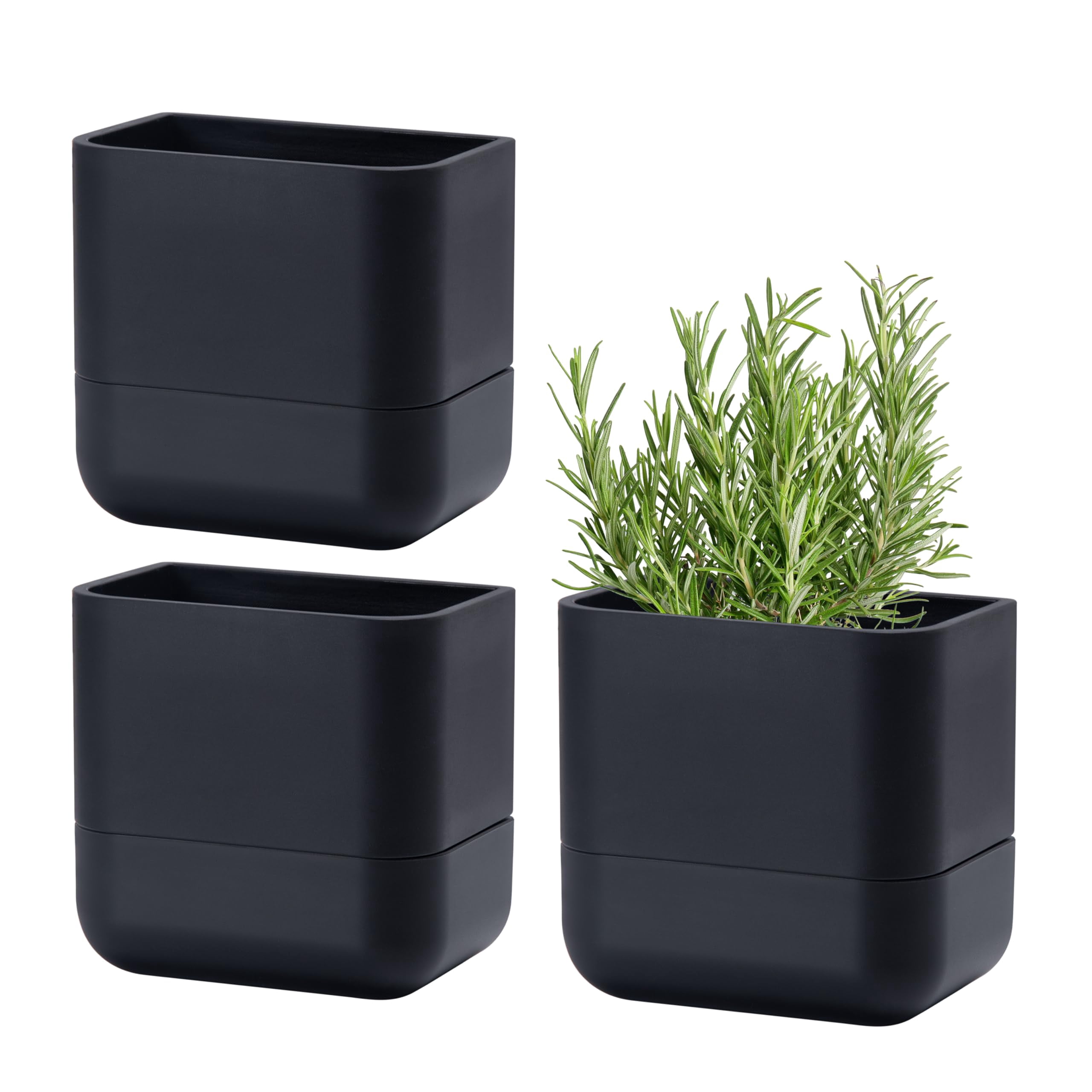 Phoenix Vine 6.5-Inch Wall Mounted Self-Watering Planter Pot Indoor ...