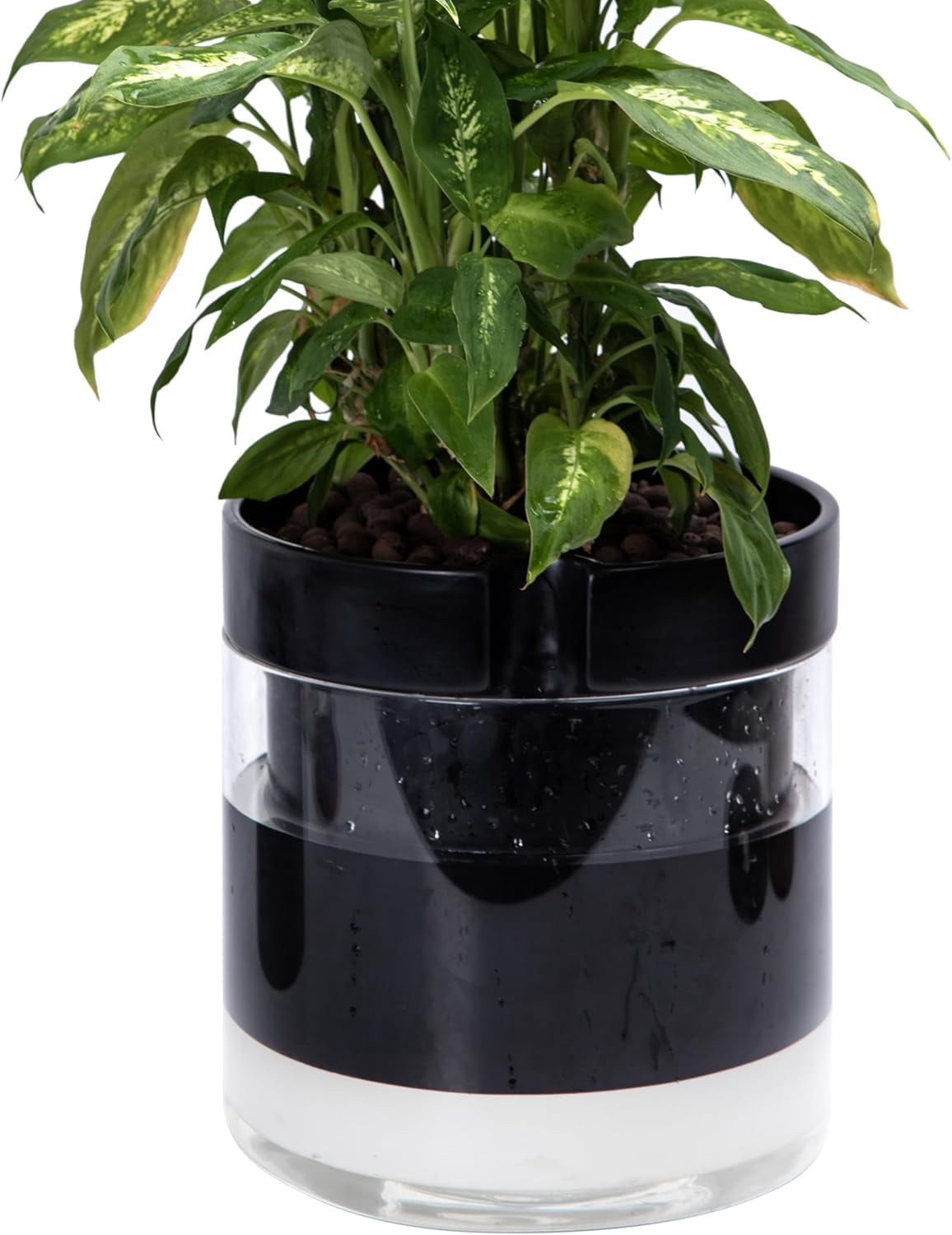 Phoenix Vine 8 Inch Self Watering Planter Pot, Terracotta Clay Pot with ...