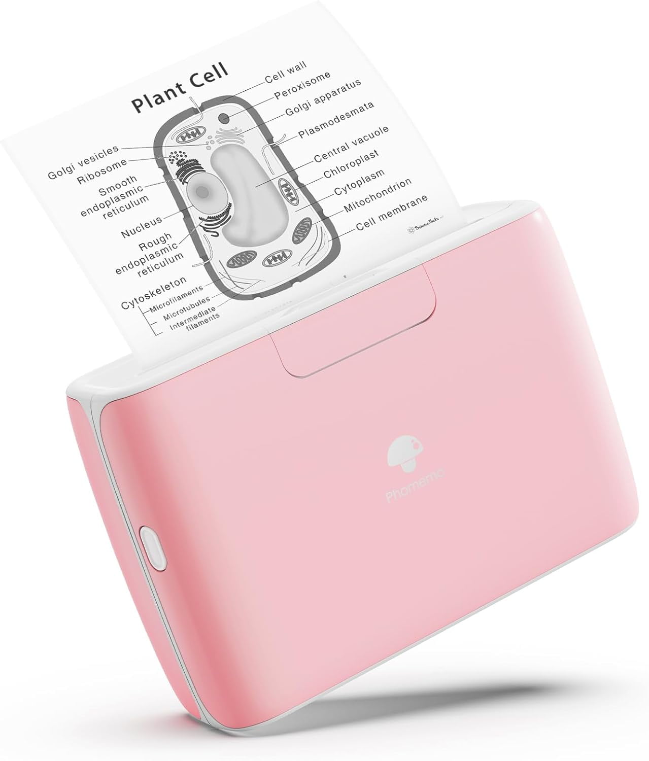 Phomemo M04S Bluetooth Portable Printer for Convenient and High-Quality ...