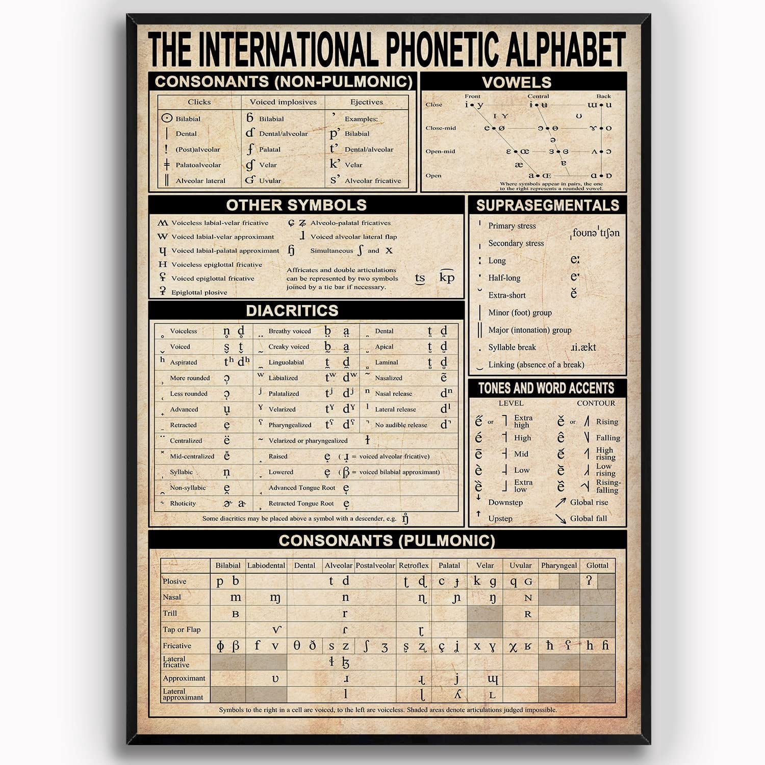 Phonetic Knowledge Metal Signs Wall Decor The International Phonetic ...