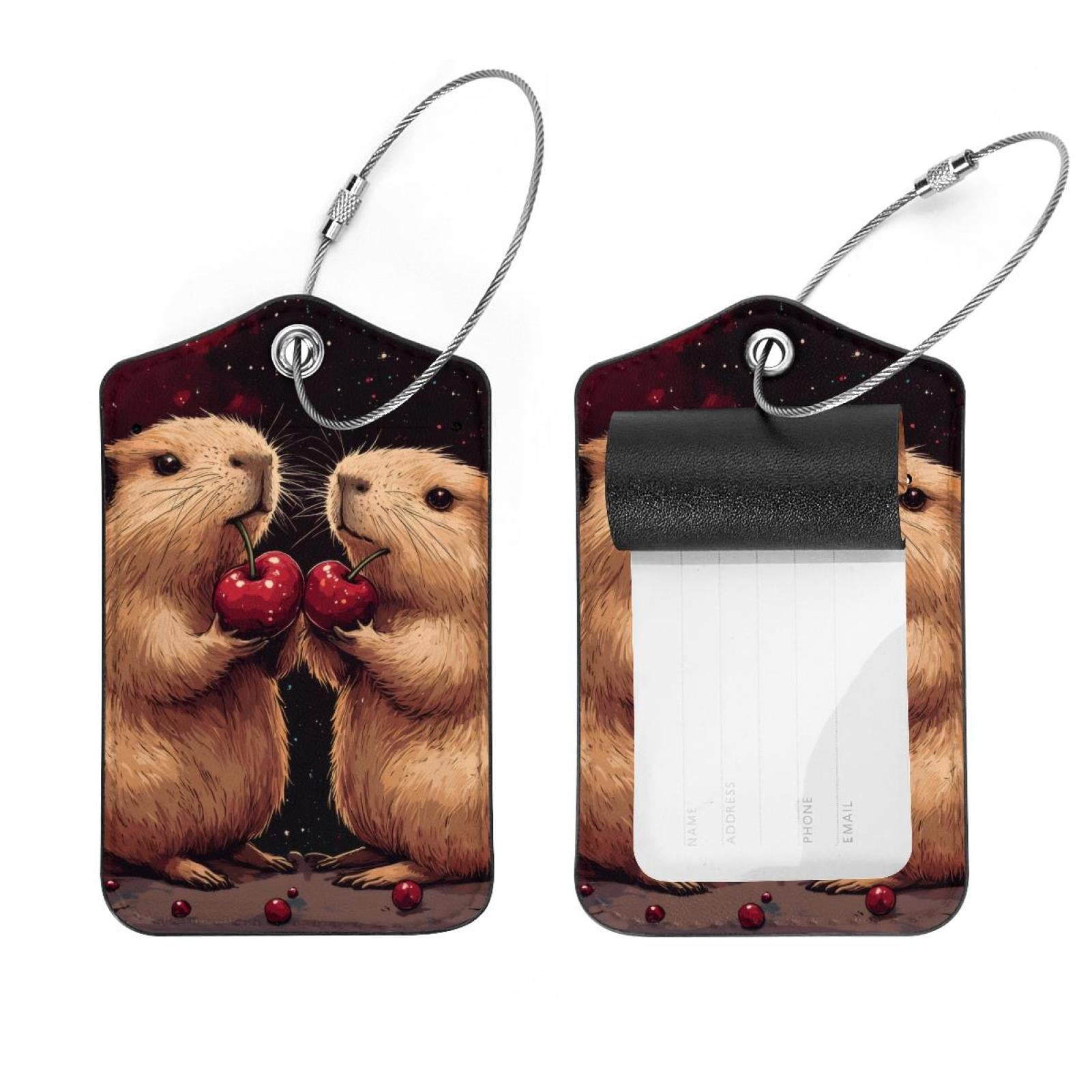 PhooArto 2 Pcs Cute Capybaras Cherries Galaxy Luggage Tag for Suitcases ...