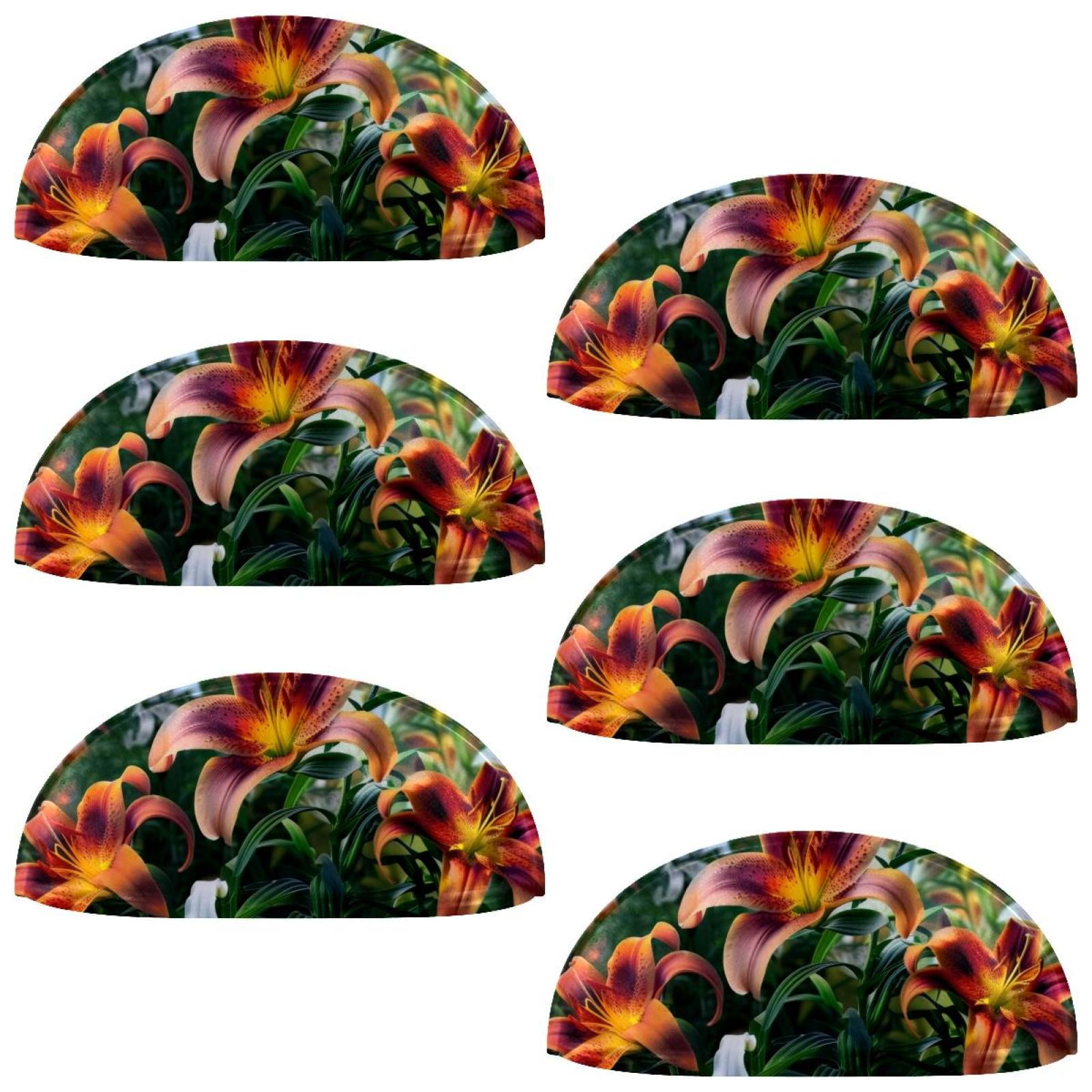 PhooArto 6 Pcs Cup Drawer Pulls, Colors Lily Flowers Blooming Shell ...