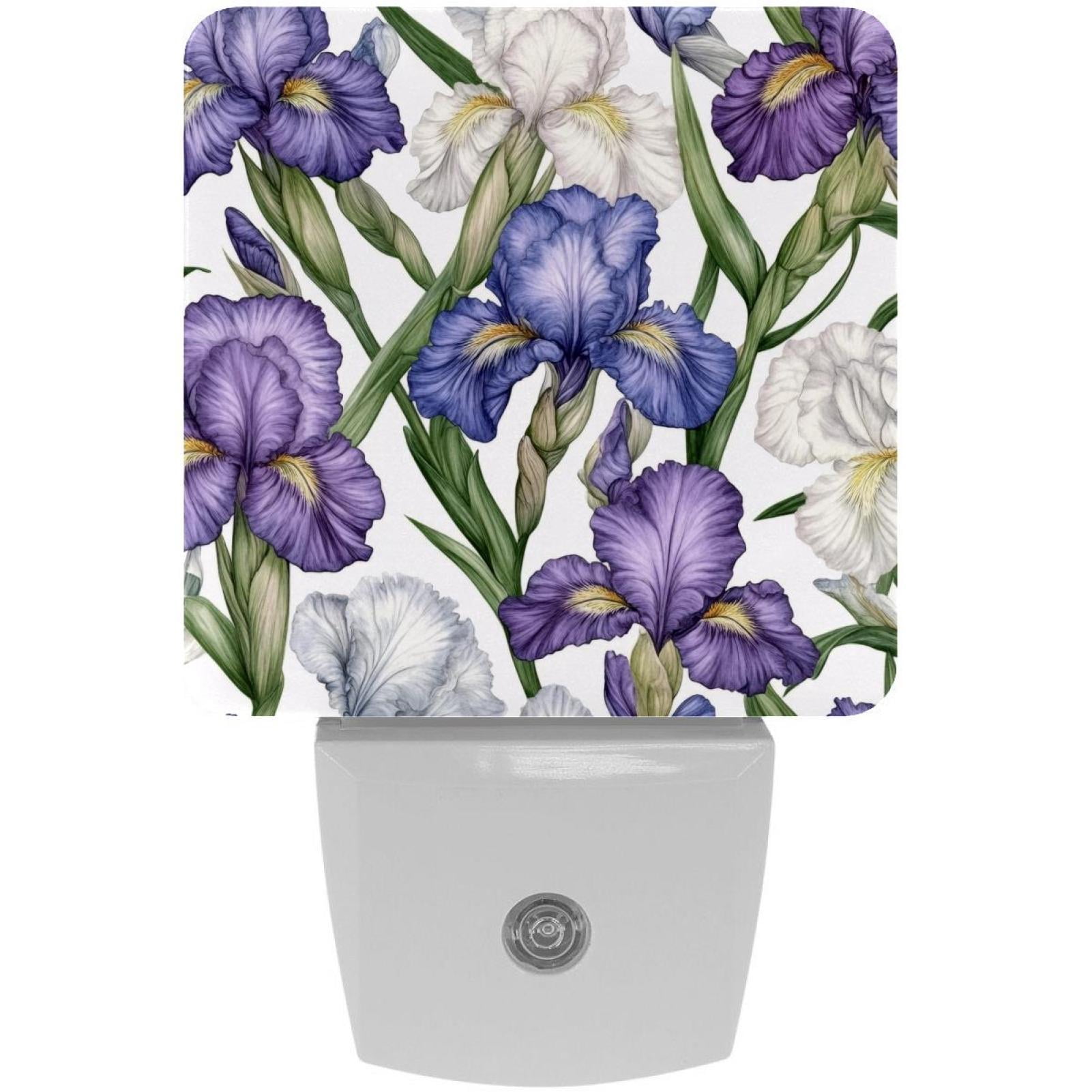 PhooArto Beautiful Iris Flowers Patterns Plug in LED Night Light Auto ...