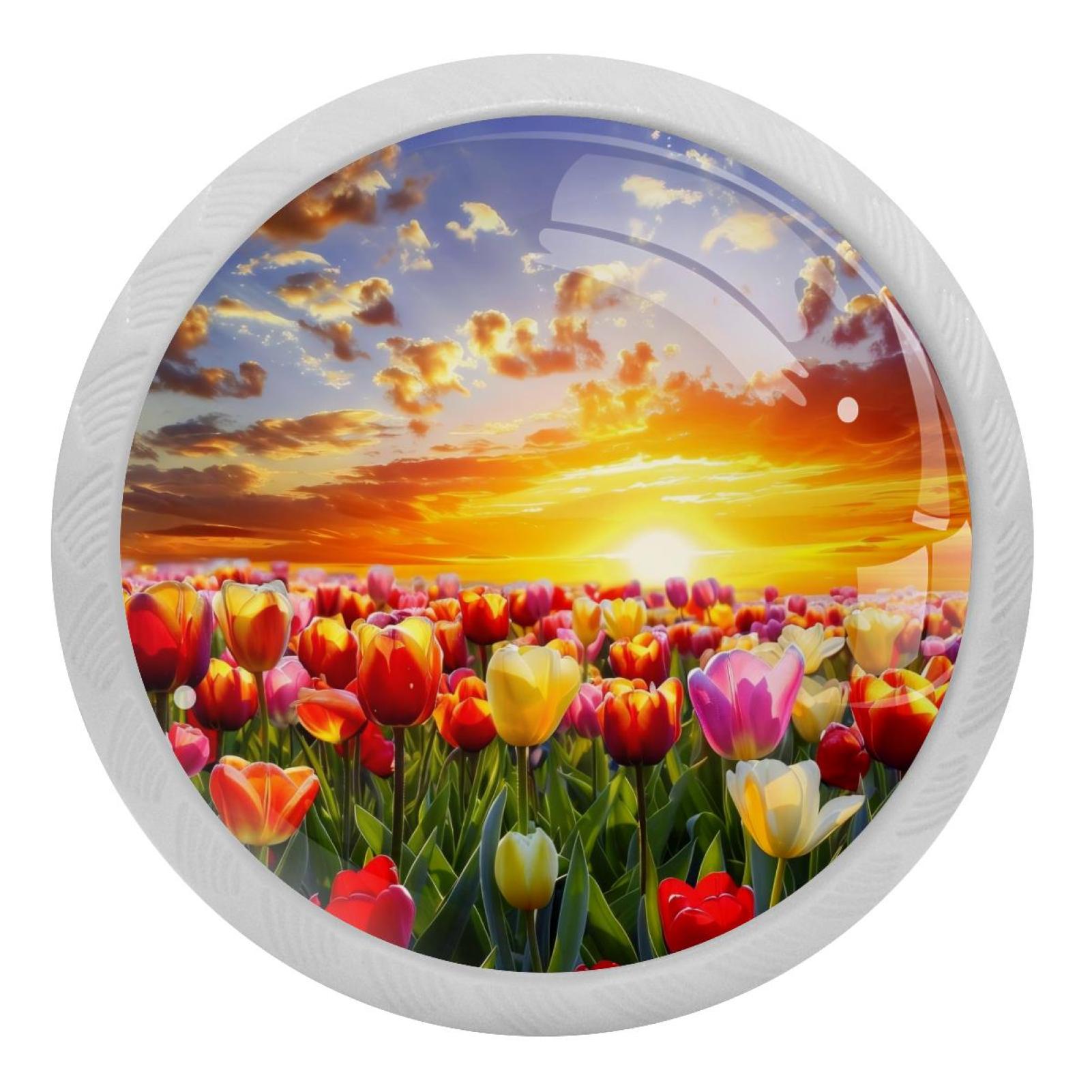 PhooArto Beautiful Tulip Flower Sunset Landscape 4 PCS Crystal Glass ...