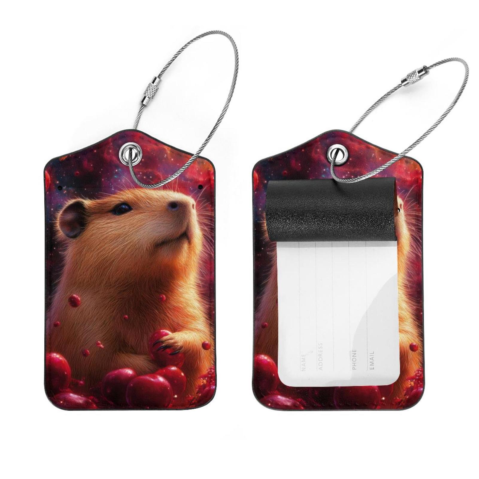PhooArto Capybaras Cherries Galaxy Luggage Tags with Stainless Steel ...