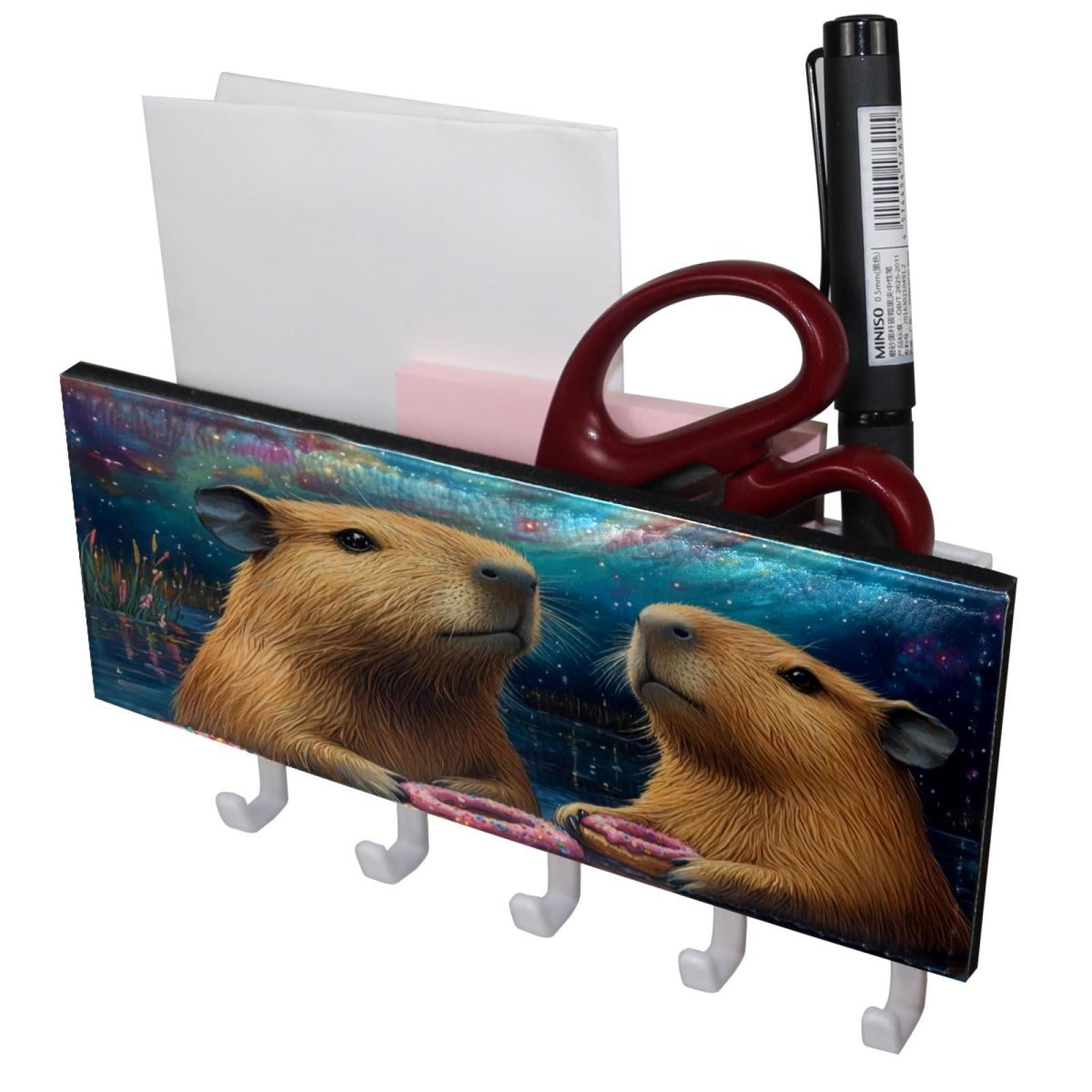 PhooArto Key Holder for Wall Decorative with 5 Key Hooks, Color Galaxy ...