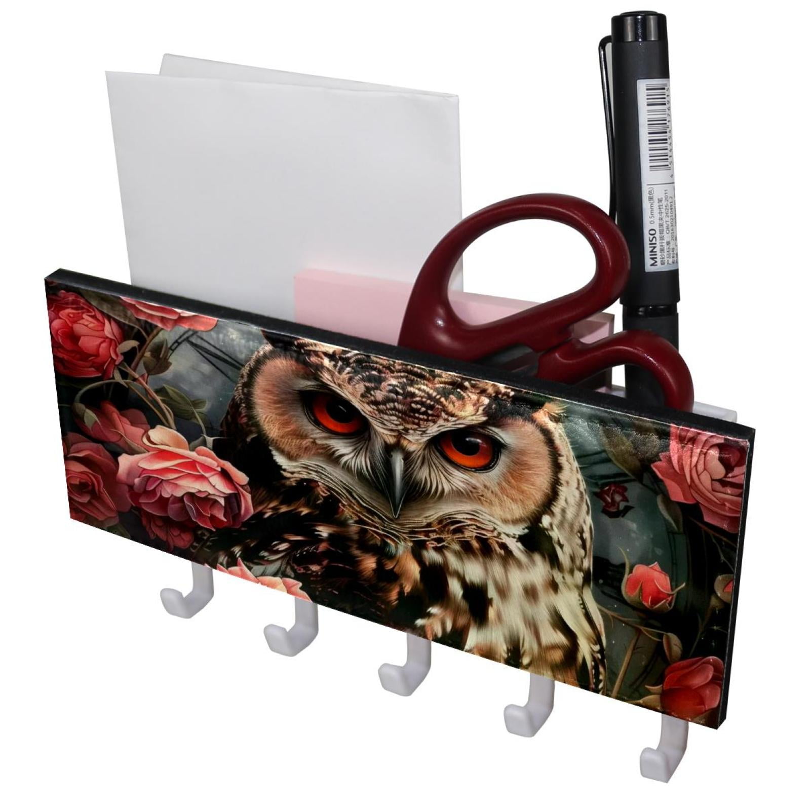 PhooArto Key Holder for Wall Decorative with 5 Key Hooks, Vintage Owl ...