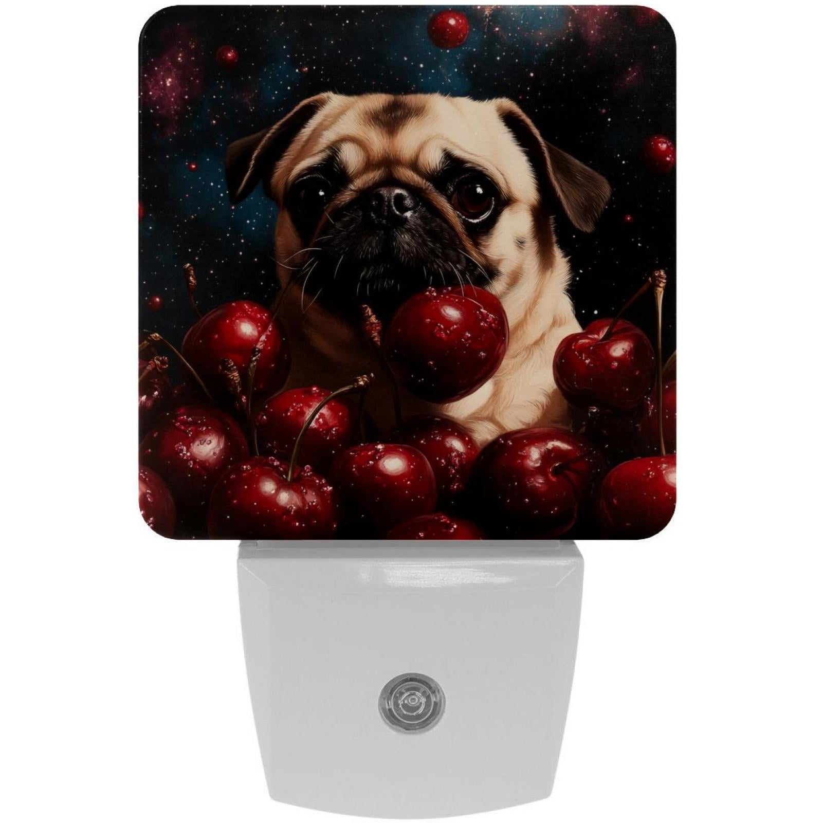 PhooArto Pug Dog Cherries Galaxy Plug in LED Night Light Auto Sensor ...