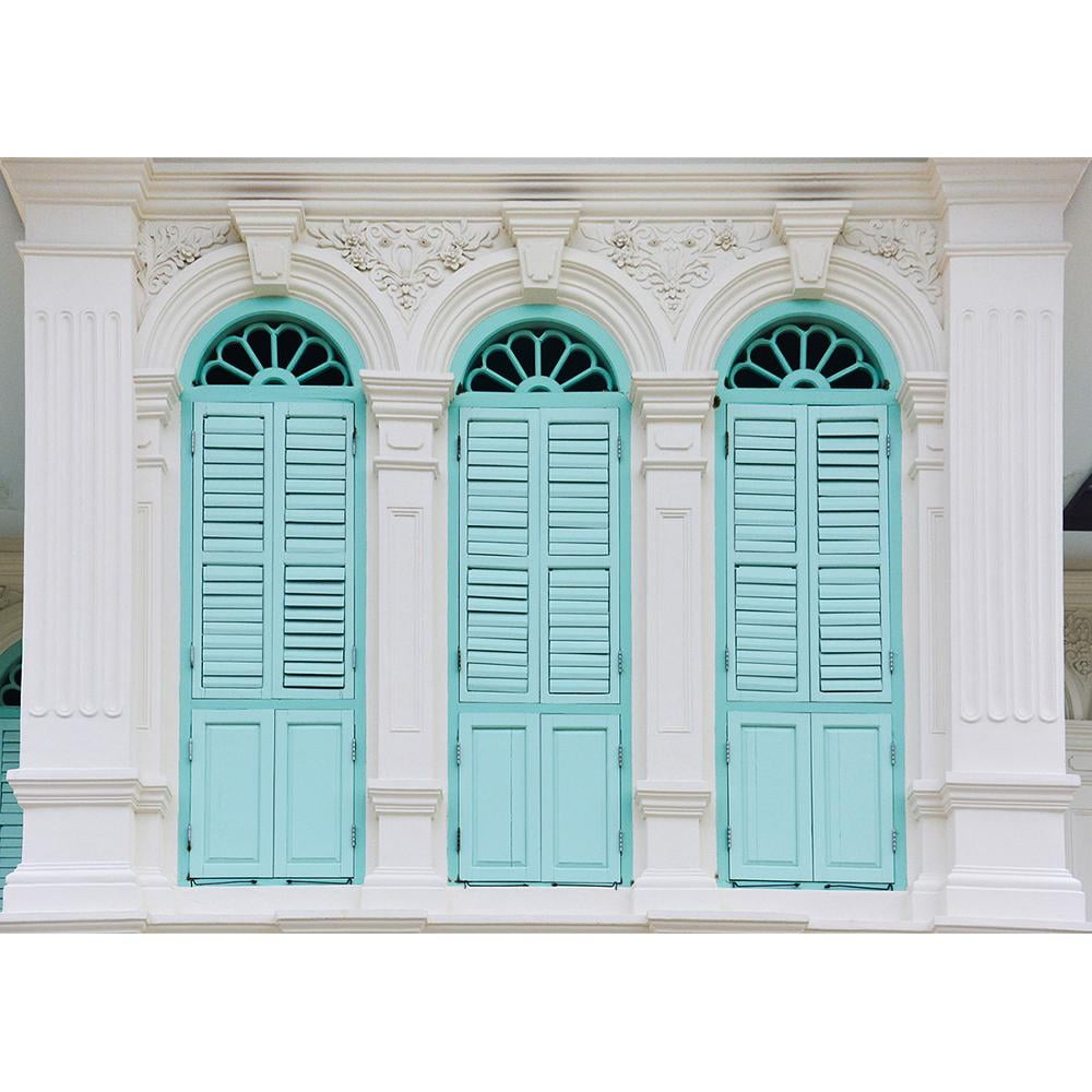 Photo Backdrop Retro White Wall Wooden Door Customized Backgrounds for ...