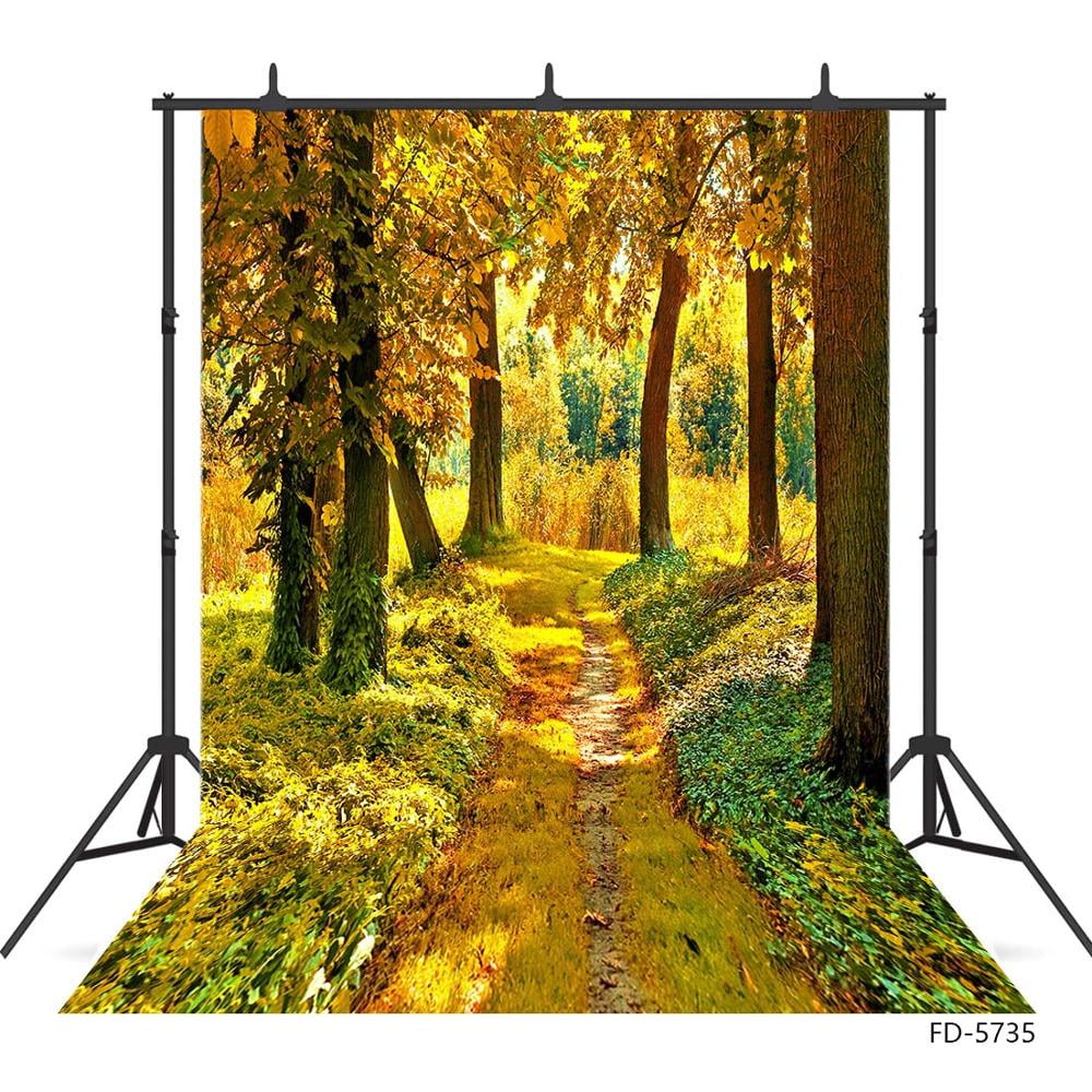 Photo Background Forest Tree Leaves Autumn Pathway View Custom Backdrop ...