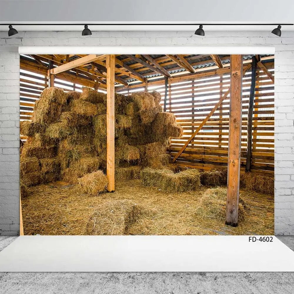 Photo Backgrounds Autumn Warehouse Scenery Grass Indoor Scenic Child ...