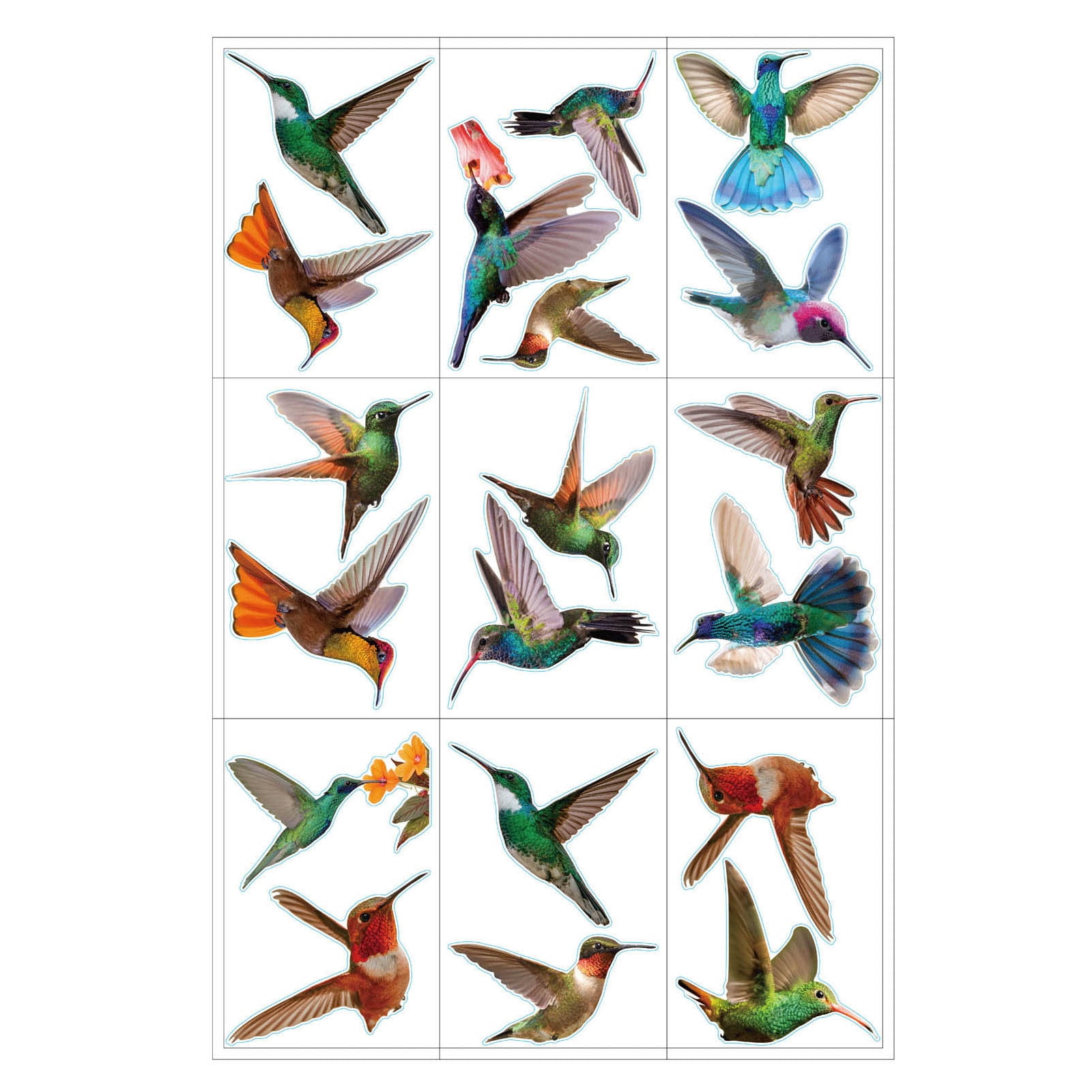 Photo Booth Kiosk with Math Sticker 600 Stickers Birthday Scrapbook ...