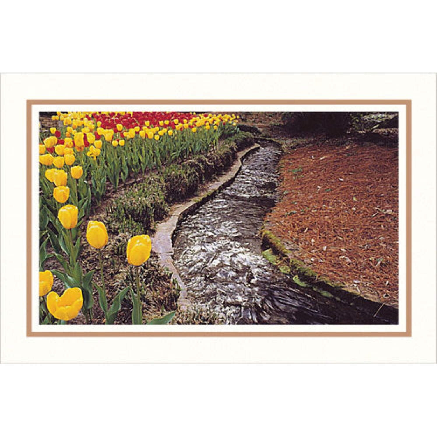 Photo Insert Card, Cardstock with Bold Border, Set of 10 for 4x6 Photos ...