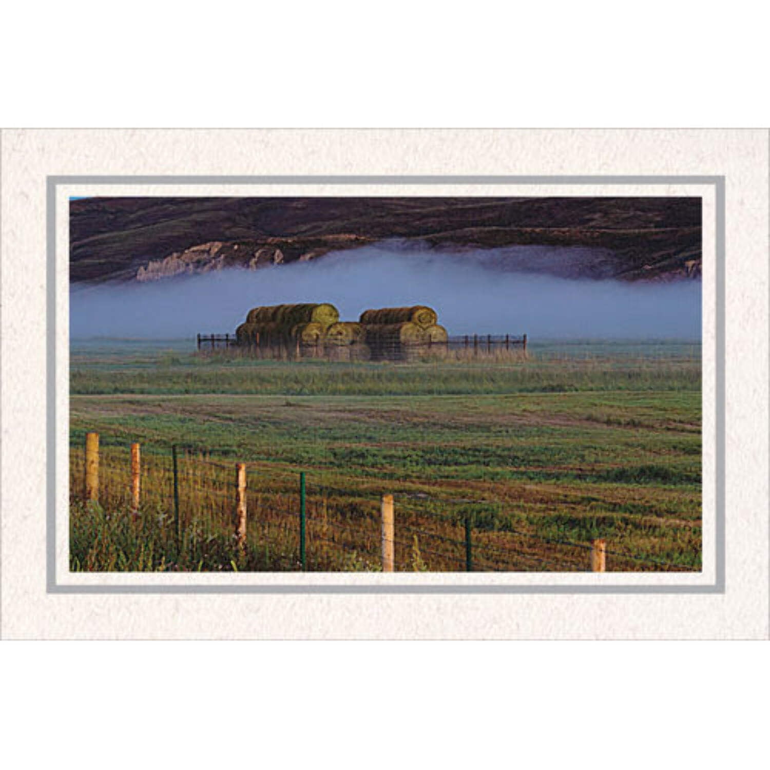 Photo Insert Card, Cardstock with Bold Border, Set of 10 for 4x6 Photos ...