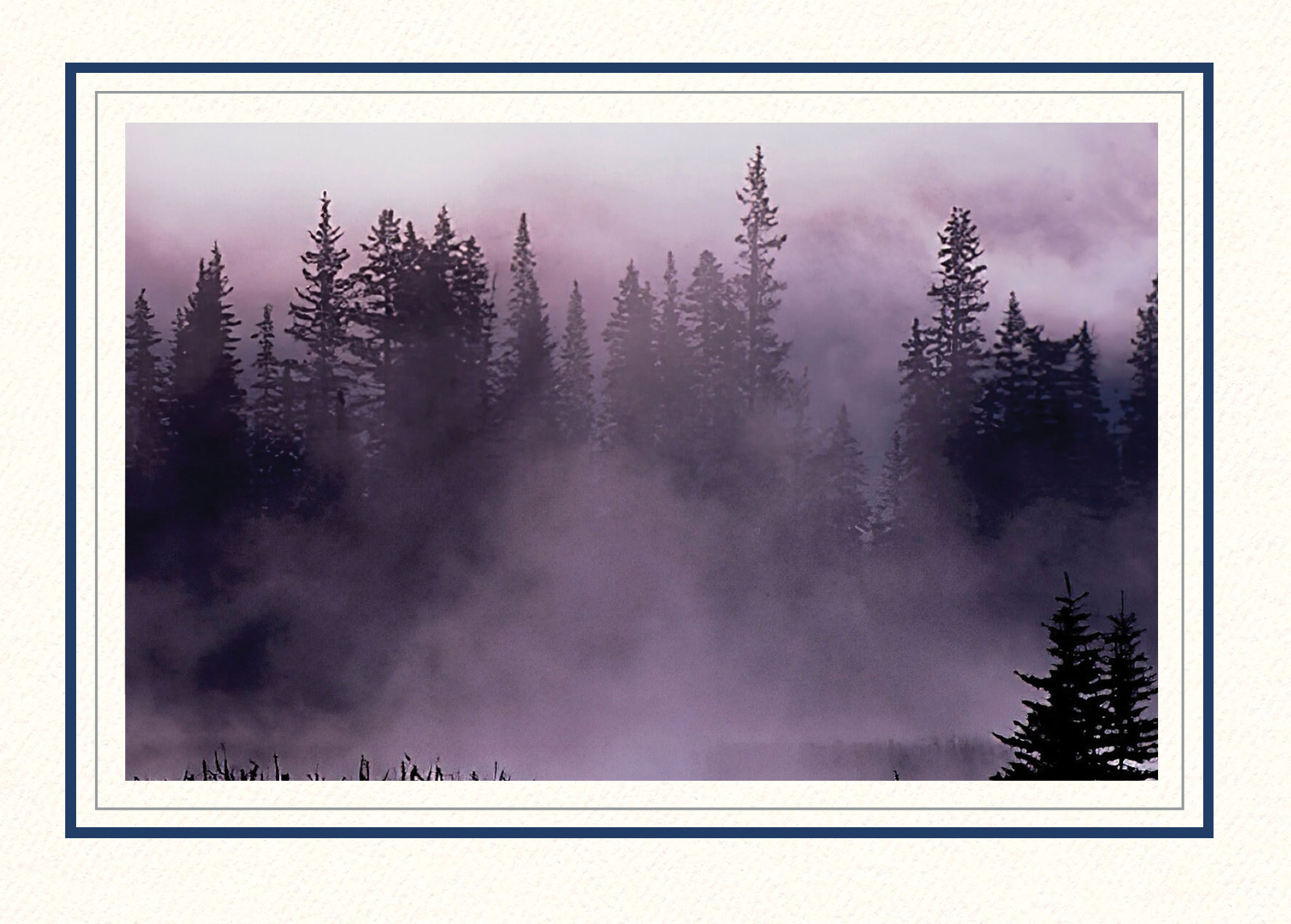 Photo Insert Card, Cardstock with Double Border, Set of 10 for 4x6 ...