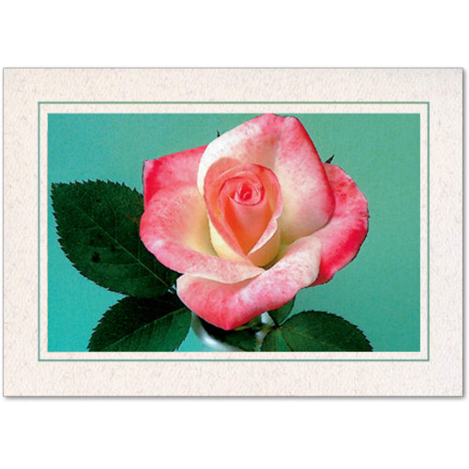 Photo Insert Card, Cardstock with Single Border, Set of 10 for 4x6 ...