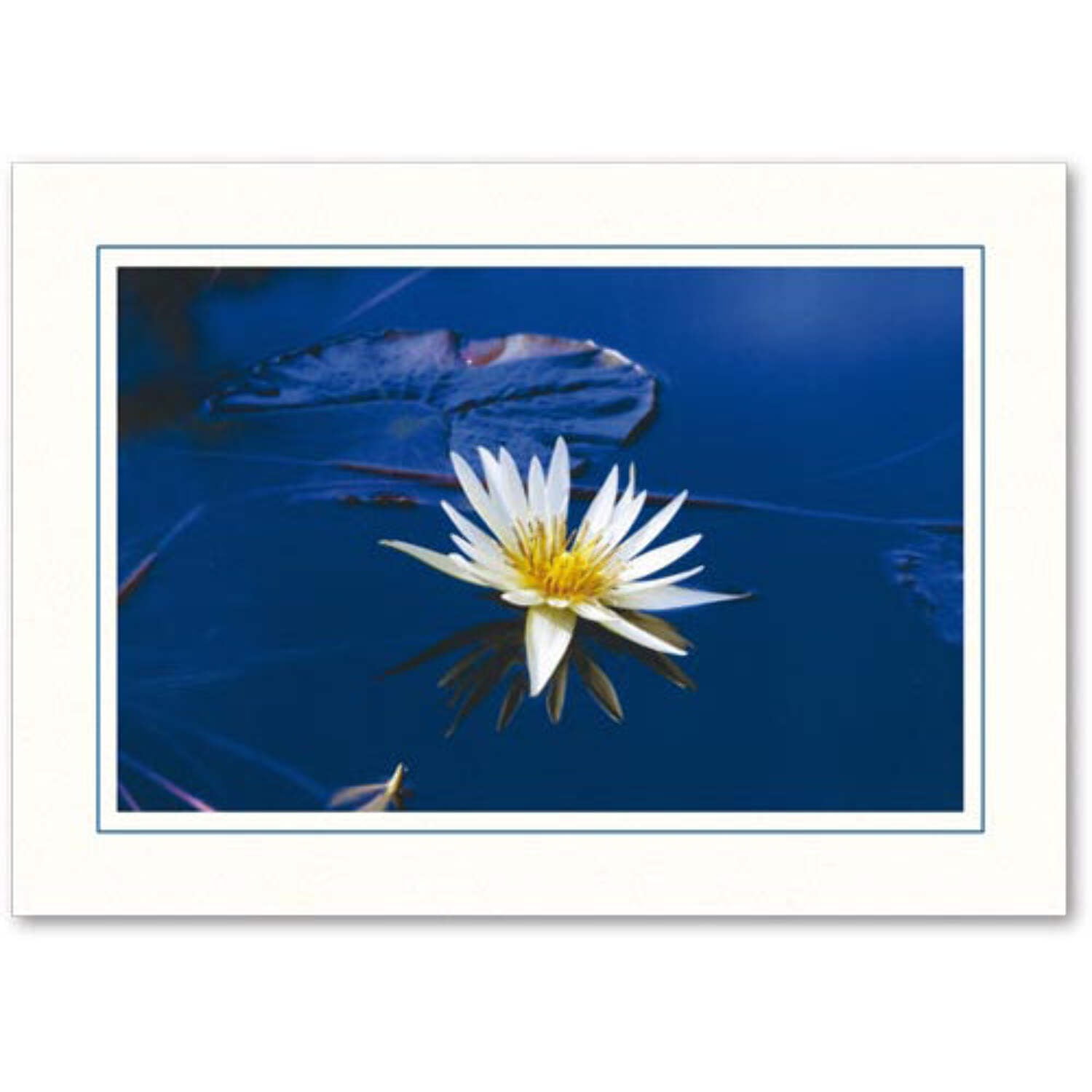 Photo Insert Card, Cardstock with Single Border, Set of 10 for 4x6 ...