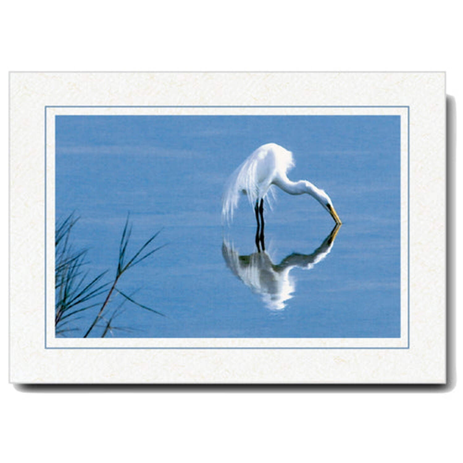 Photo Insert Card, Cardstock with Single Border, Set of 10 for 4x6 ...