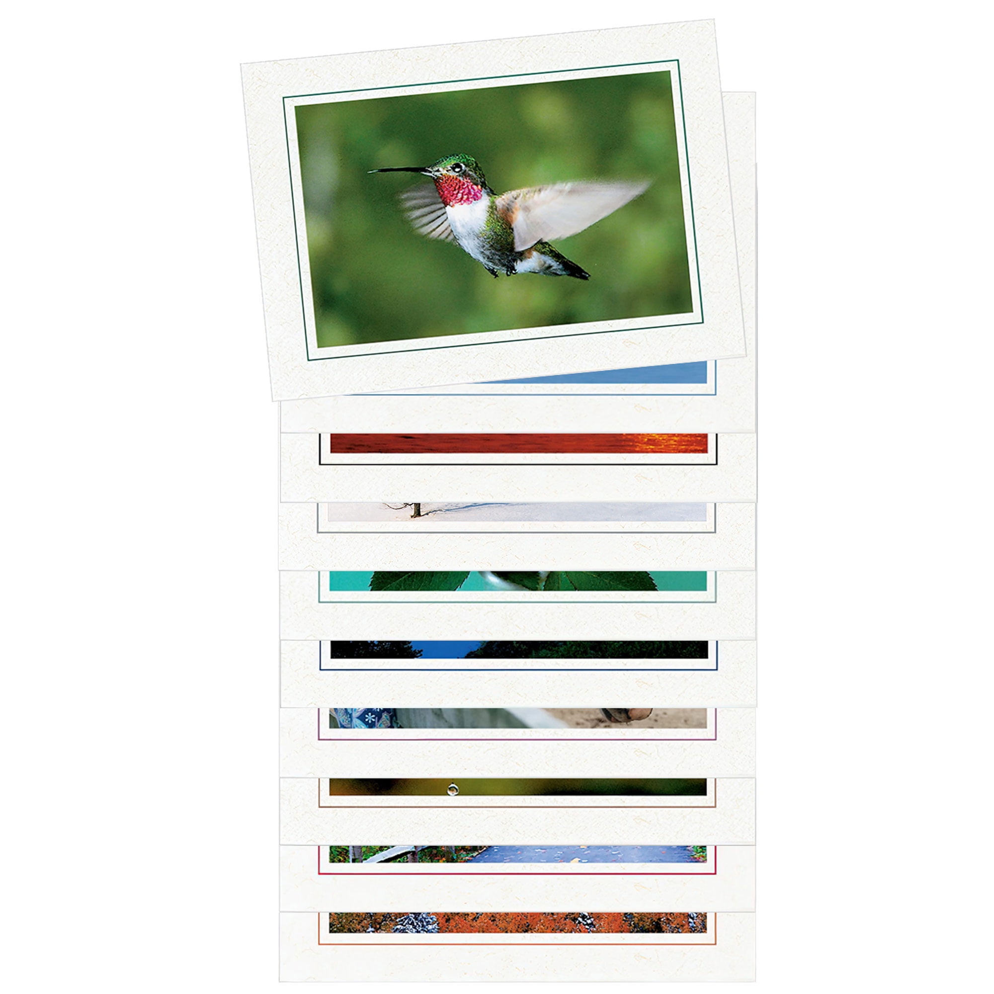 Photo Insert Card Sample Pack, 10 5x7 Natural Cardstock w/Single Border ...