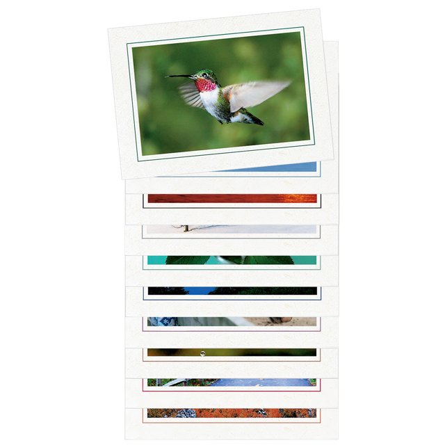 Photo Insert Card Sample Pack, 10 5x7 Natural Cardstock w/Single Border ...