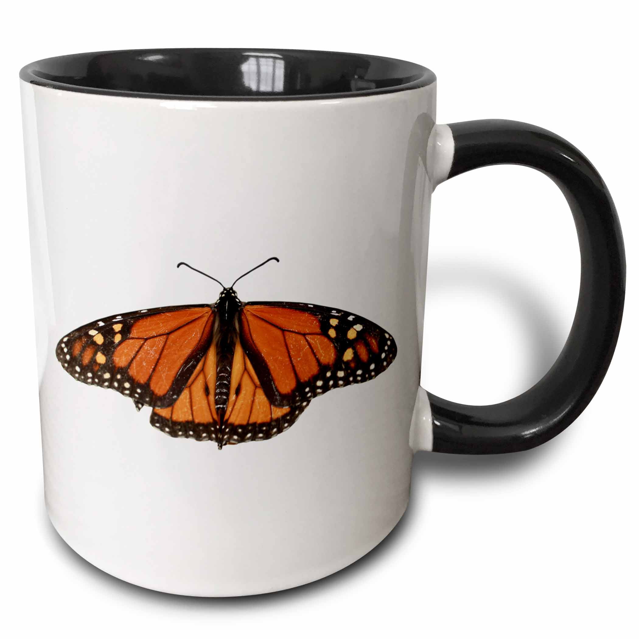 Photo Of A Male Monarch Butterfly Cut Out And Put On White Background ...