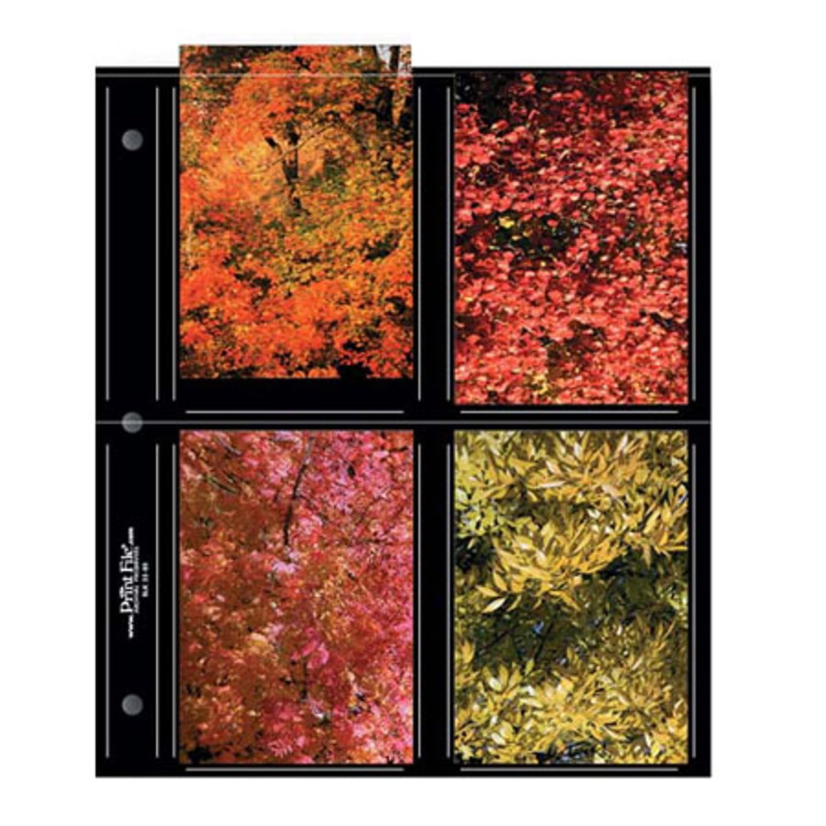 Print File Photo Pages Holds Eight 3 1/2x5" Prints, with Black ...