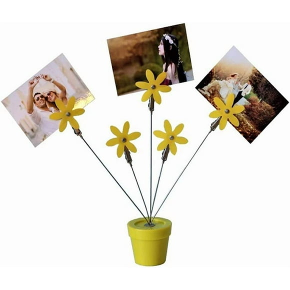 Gift Card Tree Display