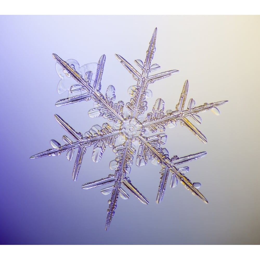 Photo-microscope view of a real snowflake showing the classic 6-sided ...
