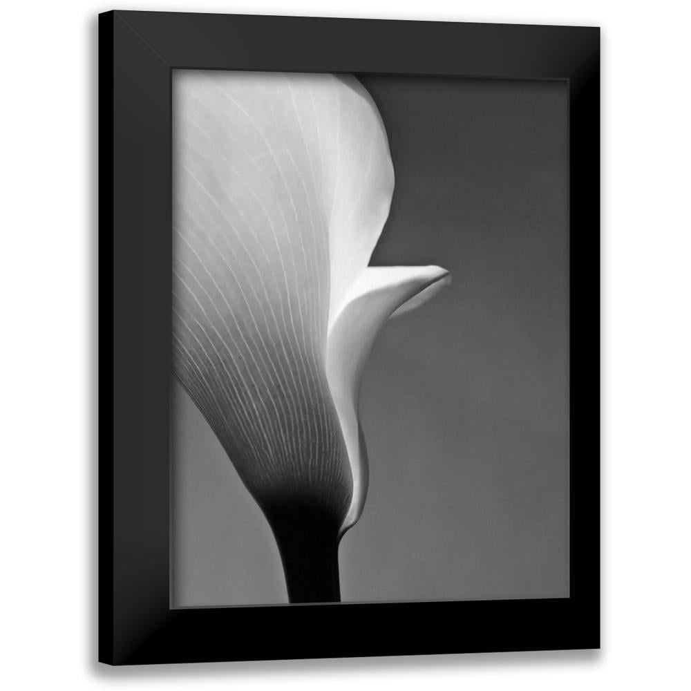 PhotoINC Studio 15x18 Black Modern Framed Museum Art Print Titled ...