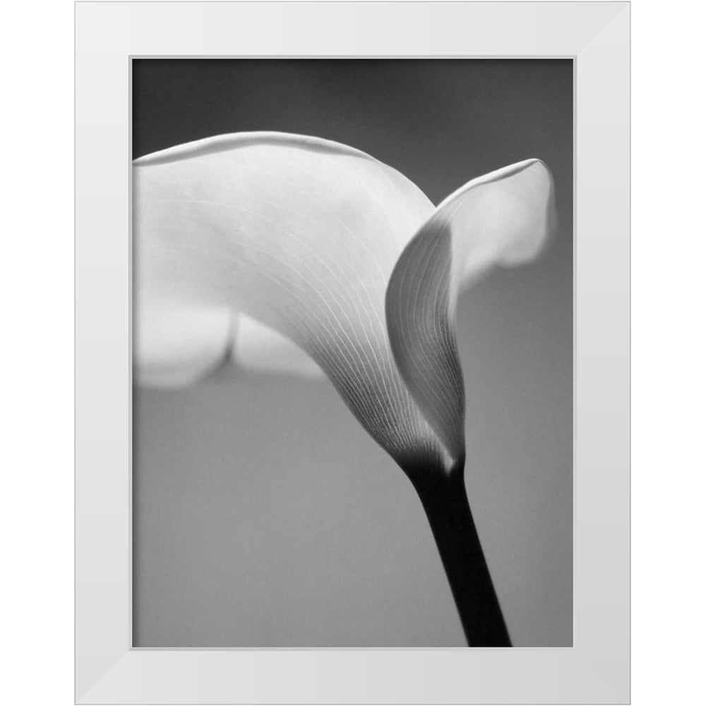 PhotoINC Studio 25x32 White Modern Wood Framed Museum Art Print Titled ...