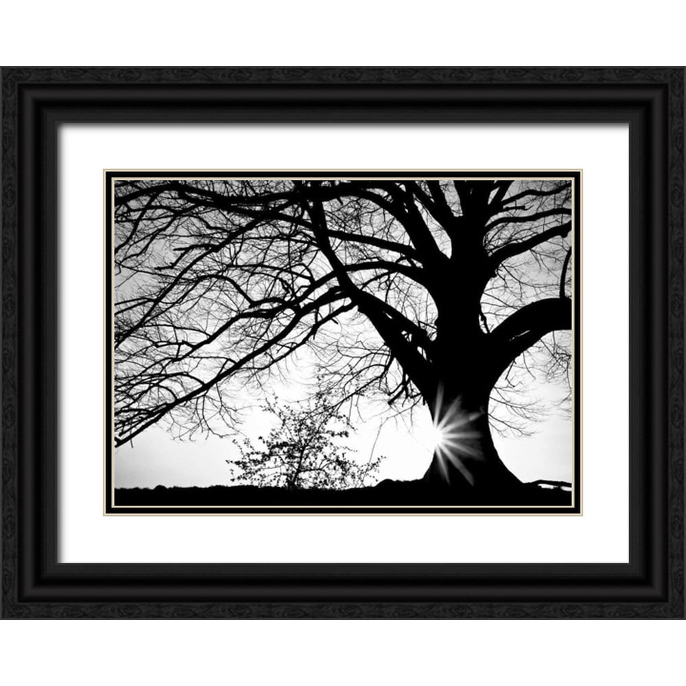 PhotoINC Studio 32x24 Black Ornate Wood Framed with Double Matting ...