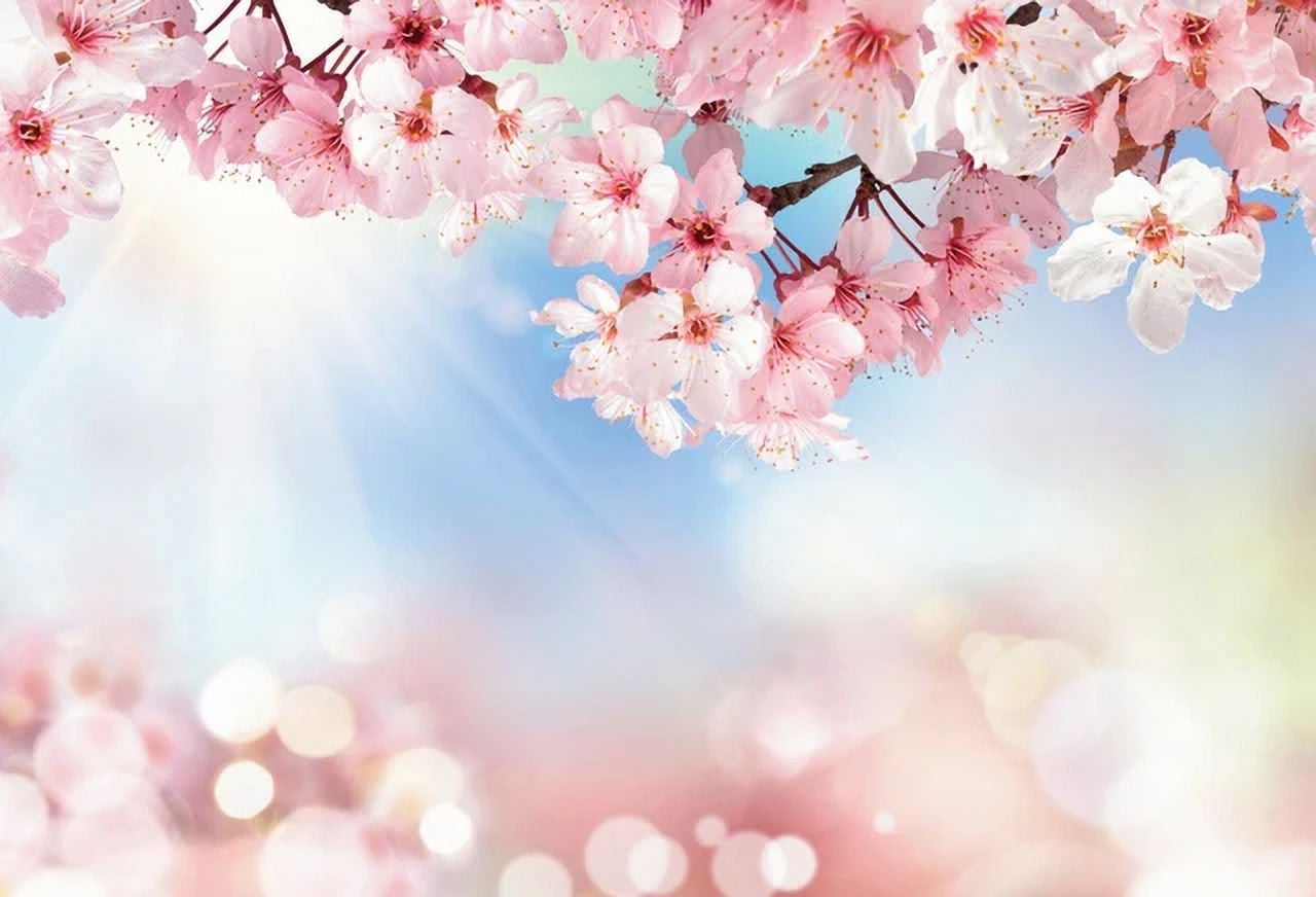 Photocall Backdrop Studio Photo For Background Photography Party Portrait Baby Newborn Petal ...