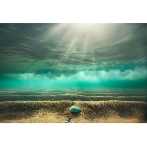 Photocall Background Aquarium Party Birthday Children Baby Wave Surface ...
