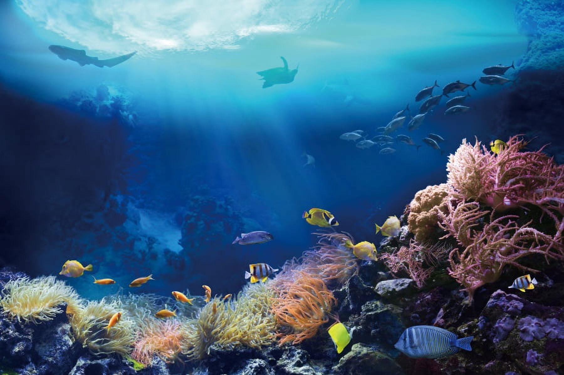 Photocall Background Aquarium Party Birthday Children Baby Wave Surface ...