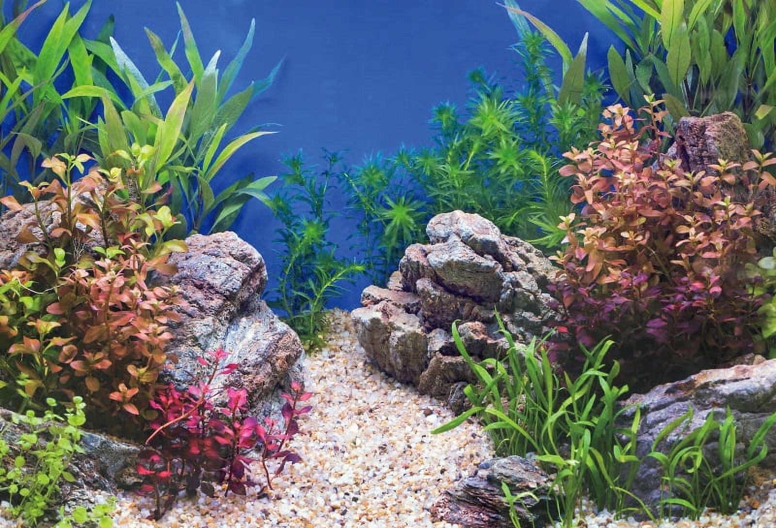 Photocall Background Aquarium Party Birthday Children Baby Wave Surface ...