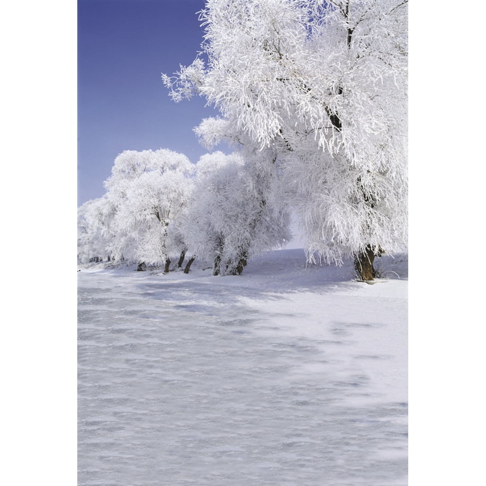 Photocall Winter Scene Backdrop White Snow Forest Baby Portrait ...
