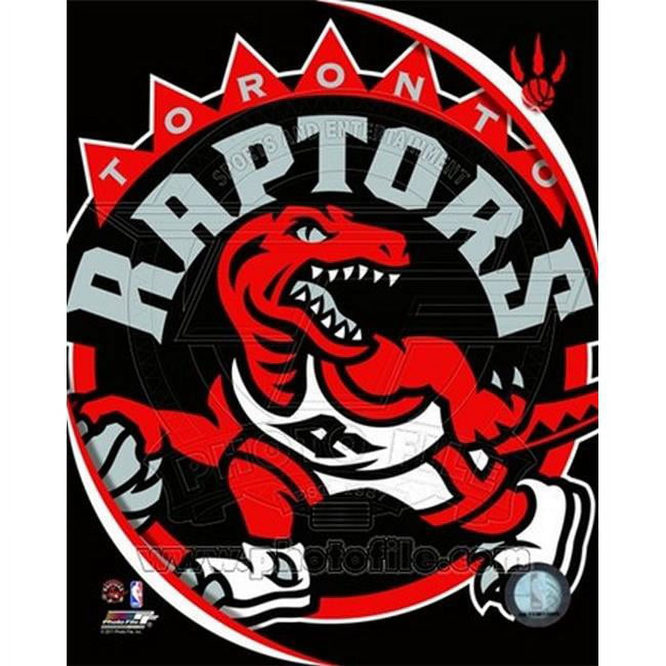 Photofile PFSAANP20601 Toronto Raptors Team Logo Sports Photo - 8 x 10 ...