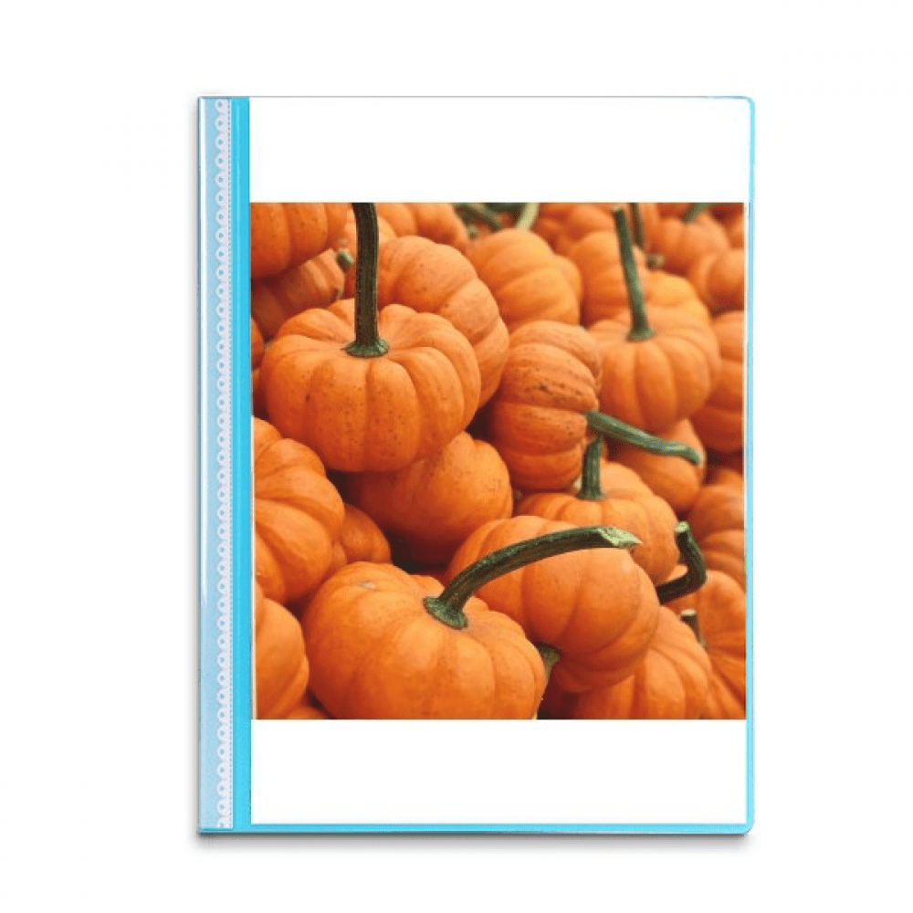 Photograph Fresh Pumpkin Picture Nature Book Sheet Protectors Portfolio ...