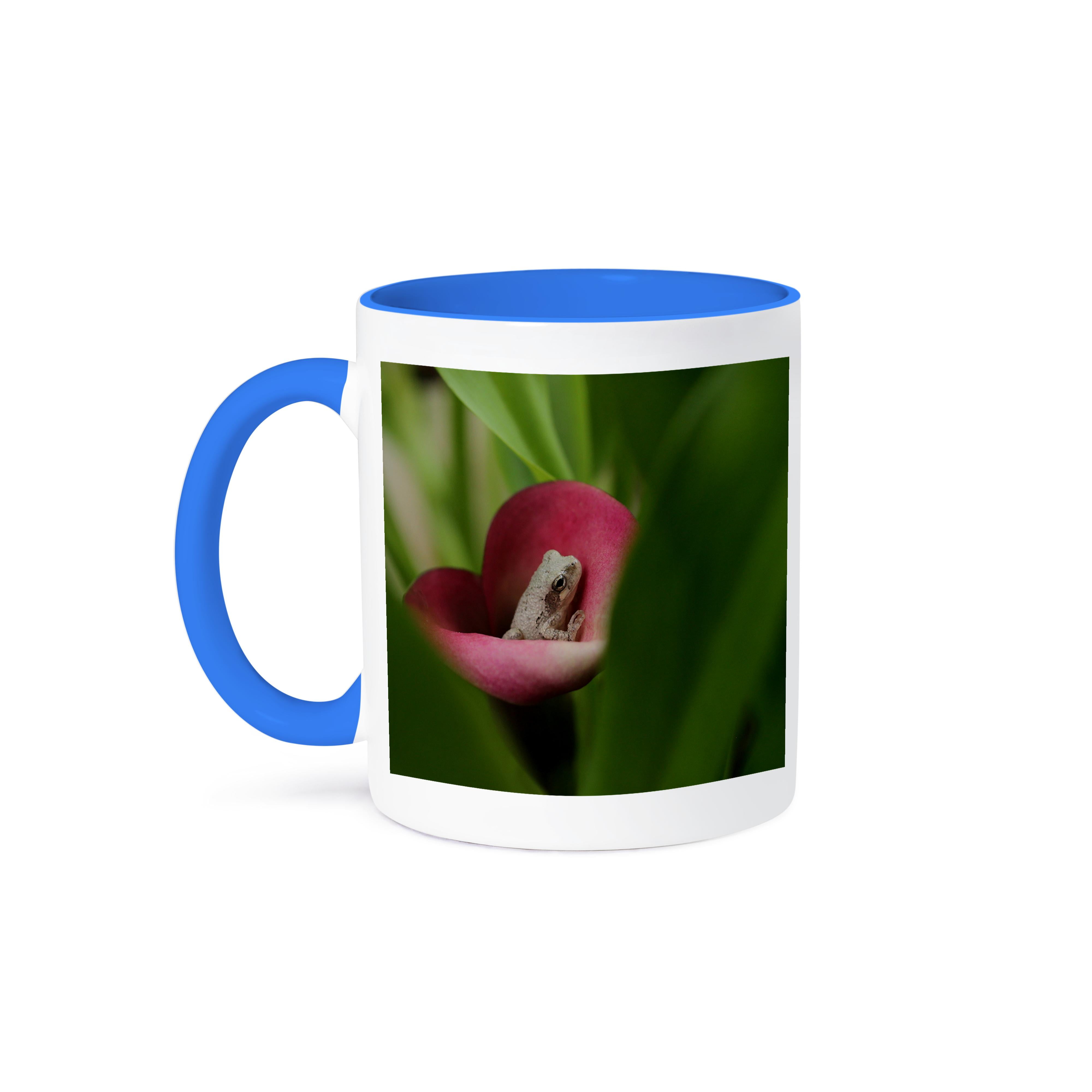 3drose, Photograph of a Tiny Frog Hiding in a Beautiful Pink Calla Lily ...