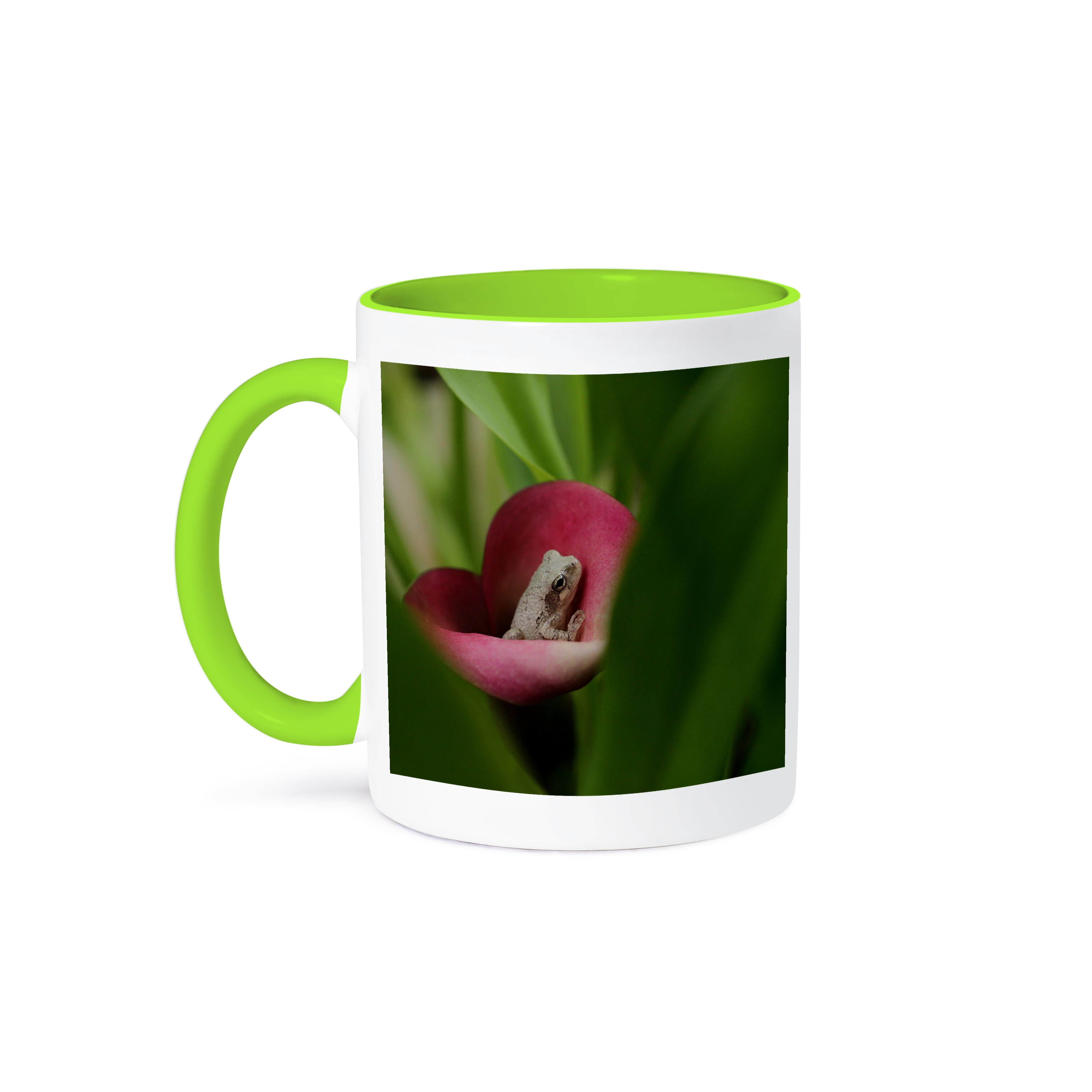 3drose, Photograph of a Tiny Frog Hiding in a Beautiful Pink Calla Lily ...