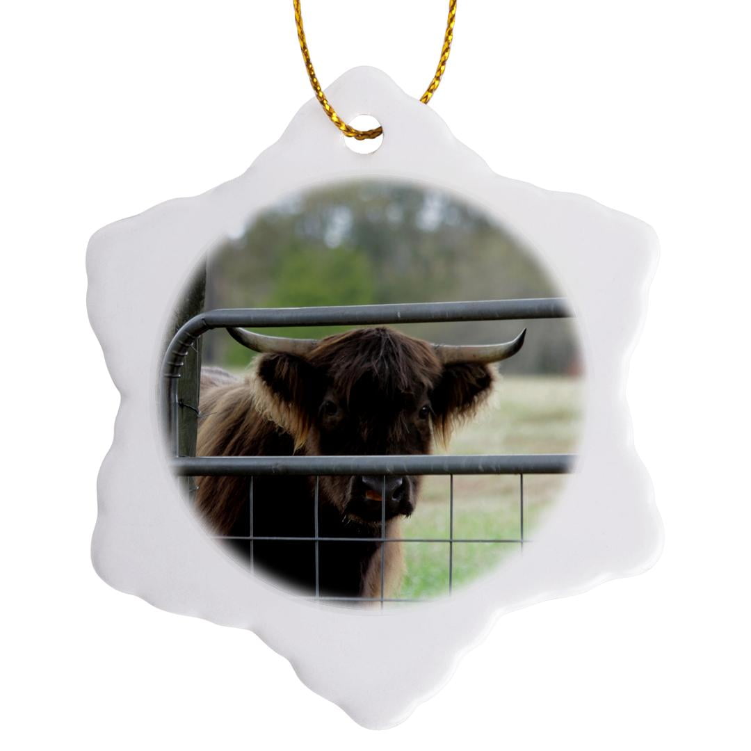 3drose, Photograph of an Adorable Highland Cow with a Leaf Stuck in Its ...