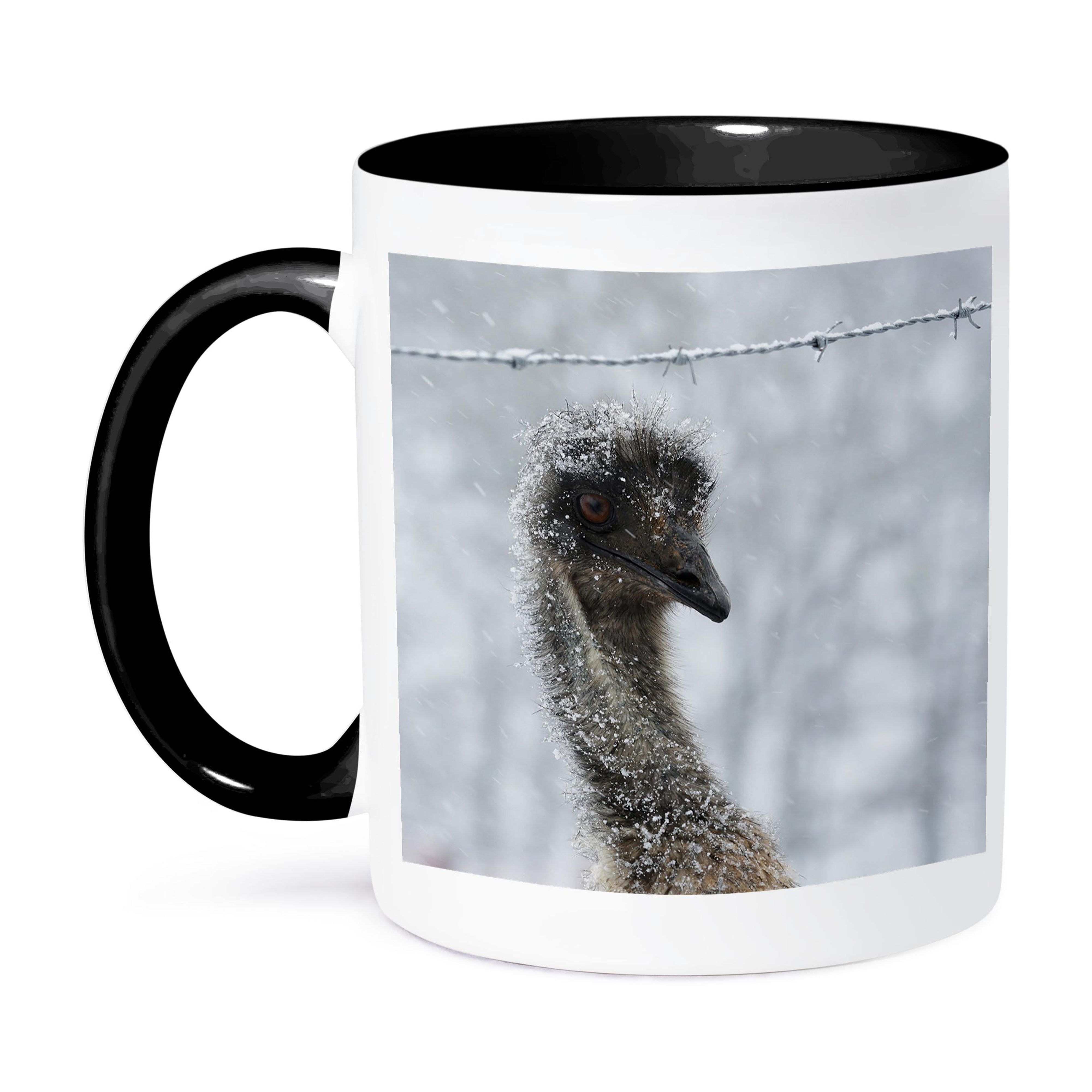 Photograph Of An Emu Wondering What The Heck All The White Stuff Is ...