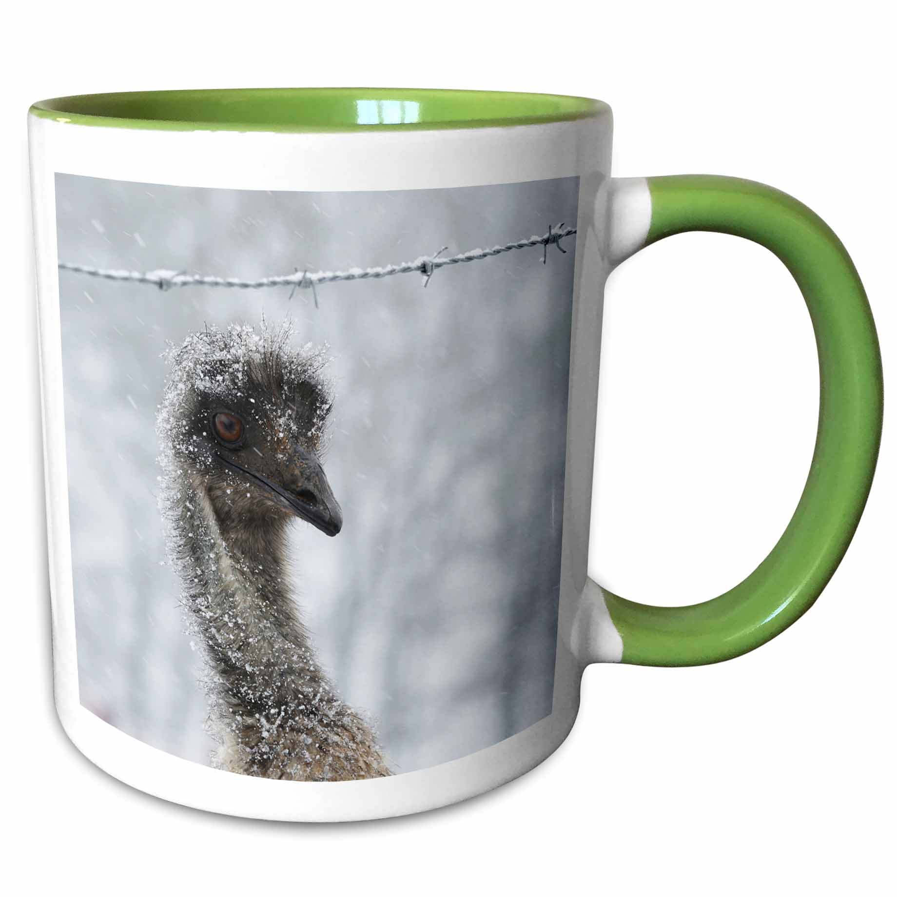 3drose, Photograph of an Emu Wondering What the Heck All the White ...